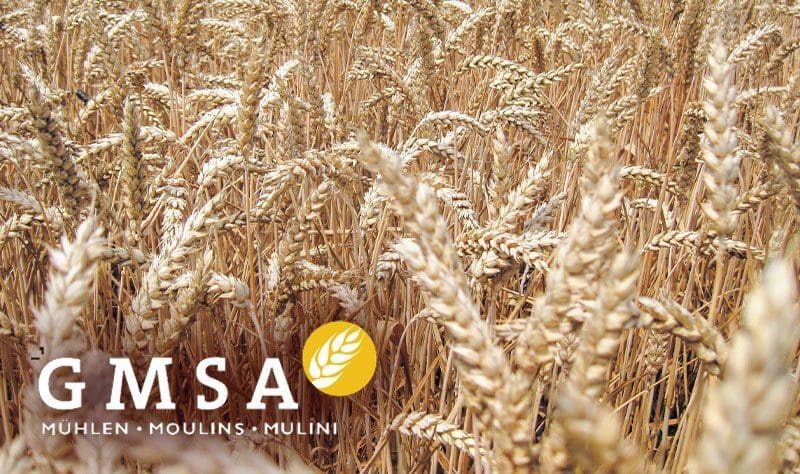 GMSA hart auf die Probe gestellt | SBC